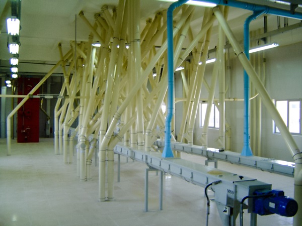 U shape Screw – Avartin